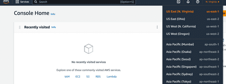 PrivateAI AWS ECS Deployment Guide