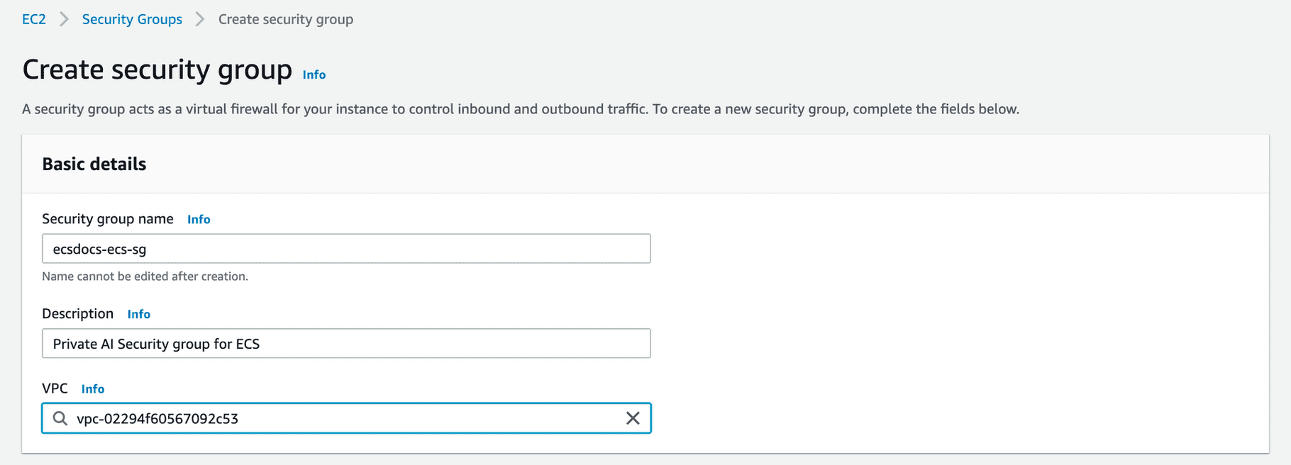 Private AI AWS ECS Deployment Guide