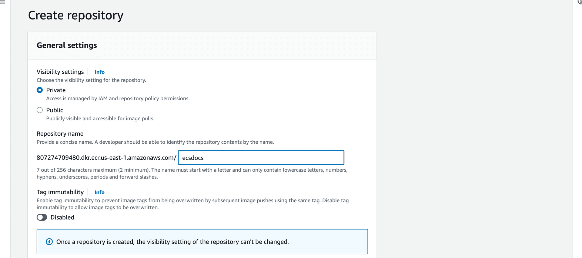 Private AI AWS ECS Deployment Guide