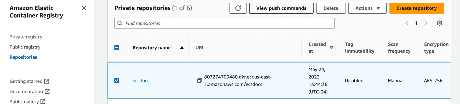Private AI AWS ECS Deployment Guide